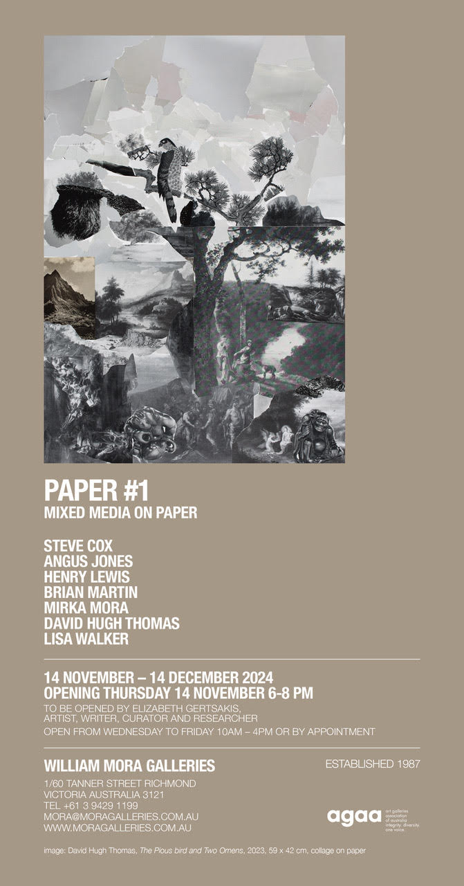 PAPER# 1 – William Mora Galleries – Nov 2024 - Henry Lewis